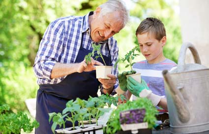 Our company | Australian Unity